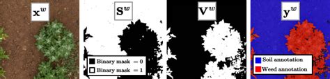 Figure From Towards Domain Generalization In Crop And Weed Segmentation For Precision Farming