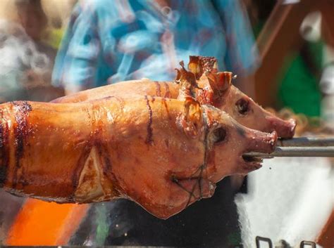 Berita Dan Informasi Daging Babi Haram Terkini Dan Terbaru Hari Ini