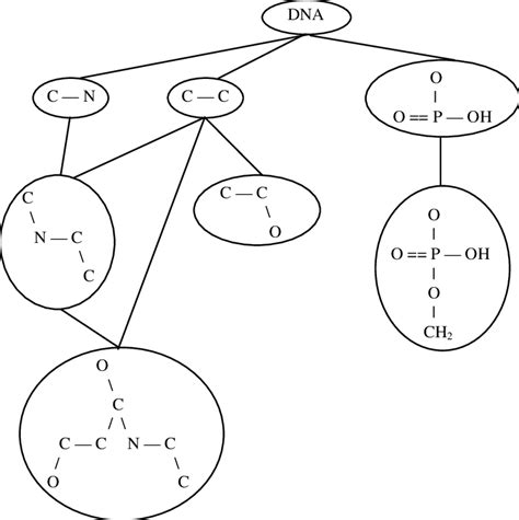Partial Hierarchical Clustering Of A Dna Sequence Download
