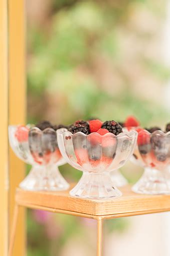 2024년 3월 플로리다주 팜비치에서 열리는 스프링 가든 파티에 전시된 과일 브런치 호더브 0명에 대한 스톡 사진 및 기타 이미지 Istock