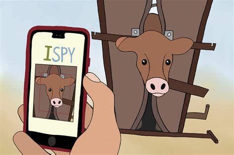 Ai Facial Recognition Technology For Cattle Ag Proud