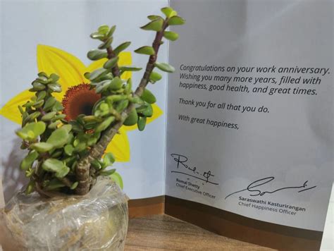 Ca Mohit Jha On Linkedin Workanniversary Deloitteindia