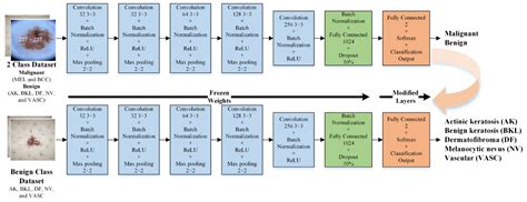 Enhancing Skin Lesion Detection A Multistage Multiclass Convolutional Neural Network Based