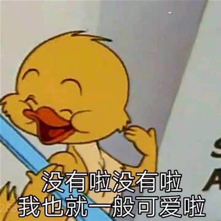 皮一点又蛮可爱的网名 很搞笑可爱的沙雕网名 第一起名网