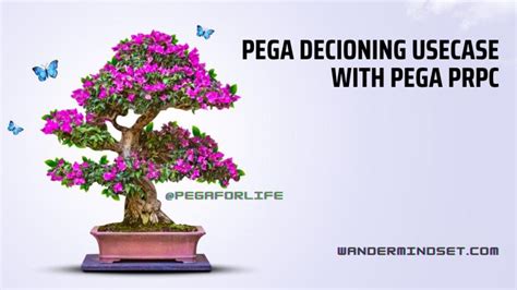 Bibhash Kalita On Linkedin Pega Decioning Usecase With Pega Prpc