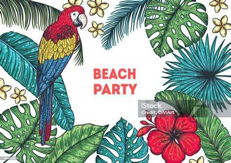 열대 디자인 템플릿 안녕하세요 여름 프레임 앵무새 야자수 잎 및 꽃 벡터 일러스트레이션 여름 디자인 0명에 대한 스톡 벡터 아트 및 기타 이미지 Istock
