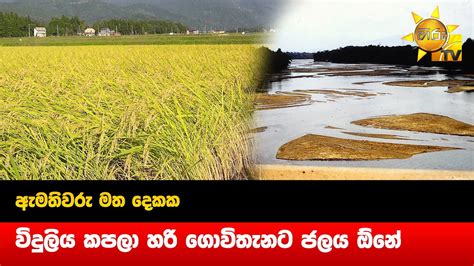 ඇමතිවරු මත දෙකක විදුලිය කපලා හරි ගොවිතැනට ජලය ඕනේ Hiru News Youtube