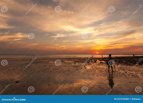 Female Amateur Photographer Taking Sunset Pictures On The Beach Stock