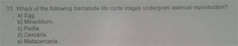 Solved Which Of The Following Trematode Life Cycle Stages