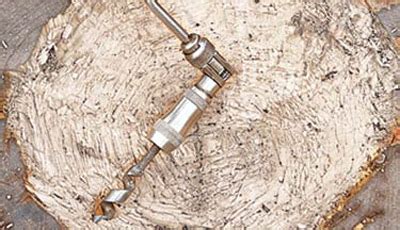 The Tree Stump And The Flowers RichHouse Eu