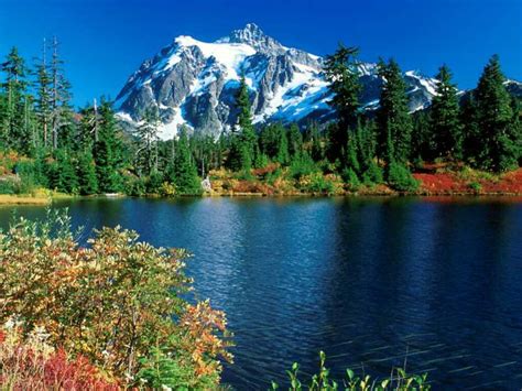 Incredible Pictures Nature