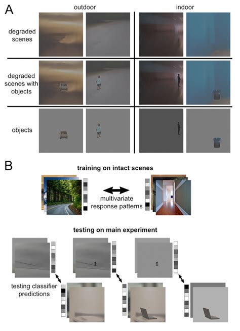 Experimental Approach A Sample Stimuli Used In The Main Experiment