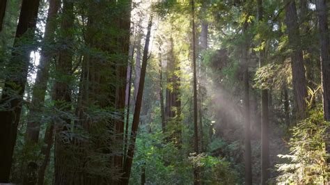 Synopsys Inc On Linkedin Synopsys Smart Future Esg Strategy