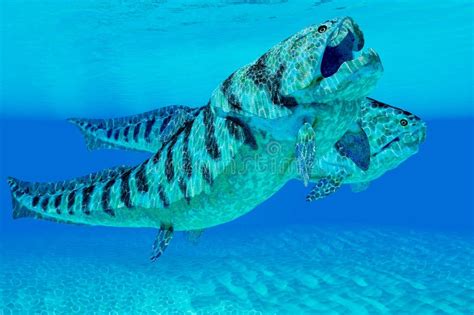 Devonian Period Underwater Plants