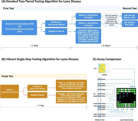 An Ultra High Density Protein Microarray For High Throughput Single