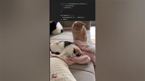 Javascript Settimeout Methodcoding Programming Javascript Python
