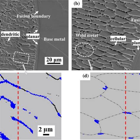 The Typical Sem Image Of A The Typical Dendritic Structure Region