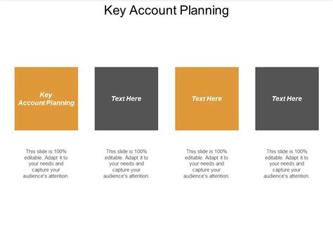 Key Account Planning Ppt Powerpoint Presentation File Structure Cpb