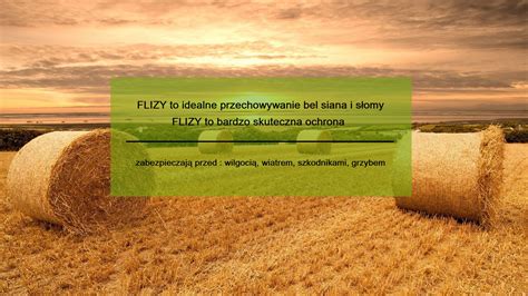 Strona główna - FLIZ.eu