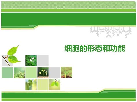细胞的形态和功能 Word文档在线阅读与下载 无忧文档