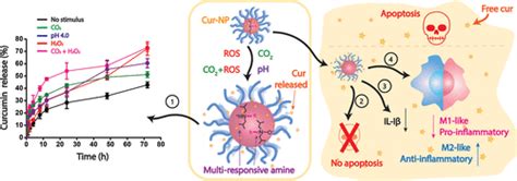 Single Functional Group Platform For Multistimuli Responsivities Tertiary Amine For Co2phros