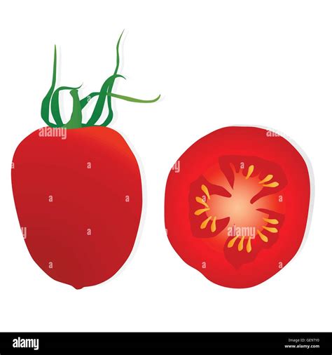 Tomato Vector Background For Poster Stock Vector Image And Art Alamy