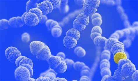 Managing Aws Ecs Environment Variables With Chamber