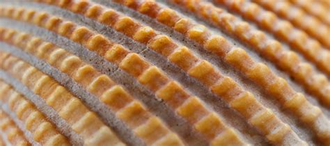 Mission Engineering Using Dynamic Modeling And Simulation Gdit