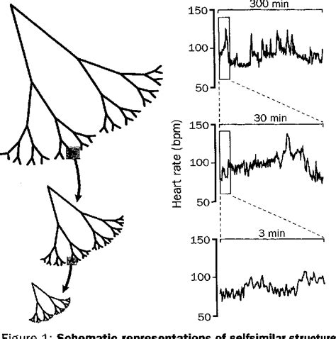 Figure 1 From Non Linear Dynamics For Clinicians Chaos Theory Fractals And Complexity At The