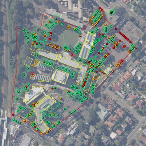 Arboricultural Impact Assessment NSW Tree Survey