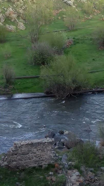 ԲՆՈՒԹՅՈՒՆ Youtube