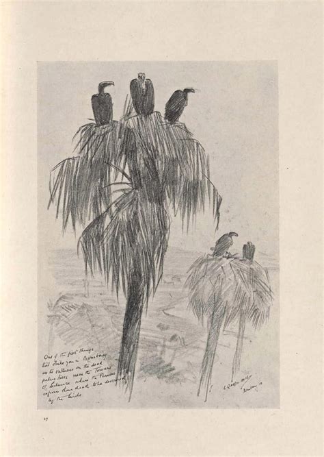 75 Structural Drawing Ideas In 2025 Structural Drawing Geologic Time