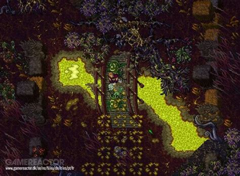在最初發佈 28 年後，tibia 推出了它的第五個可玩職業
