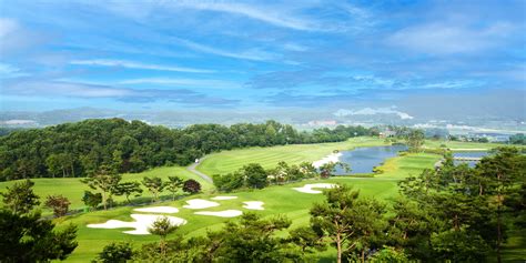 비에이비스타cc