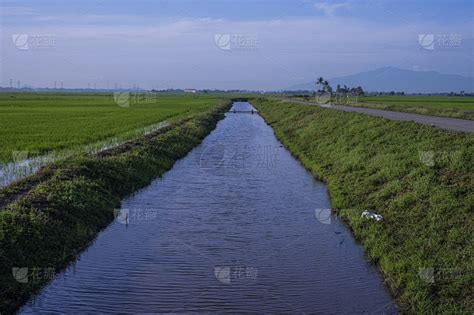 美丽的风景在稻田在吉打马来西亚