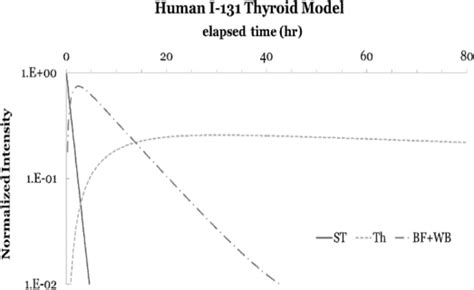 The Biokinetic Model Of Radioiodine 131 In Thyroid For A Standard Man Download Scientific