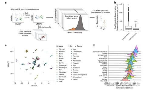 Nature子刊肿瘤依赖性图谱，这发文效果比ak还难压 知乎