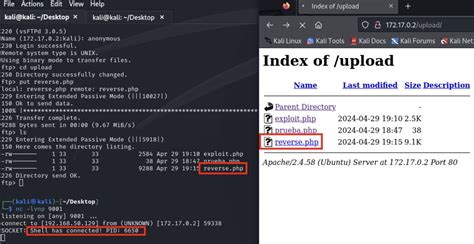 Spanish Bellow Im Happy To Announce That Ive Just Uploaded The