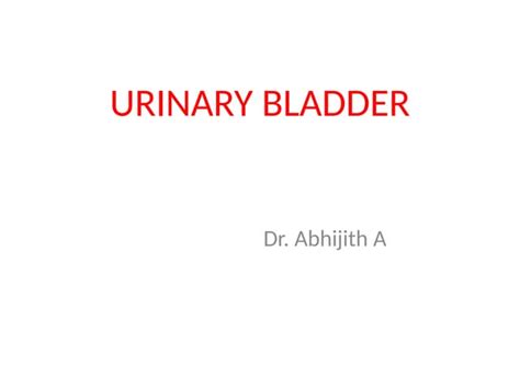 Bladder Innervensions And Types Of Bladder Pptx