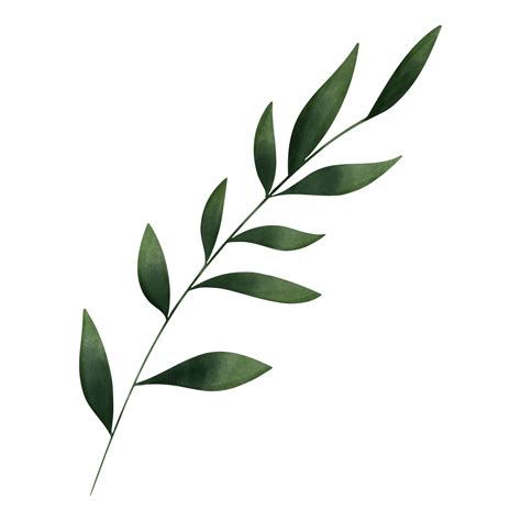 Leaf Vine Decoration 24064890 Png