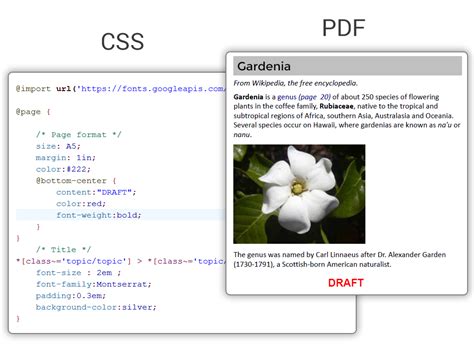 What S New In Oxygen XML Editor