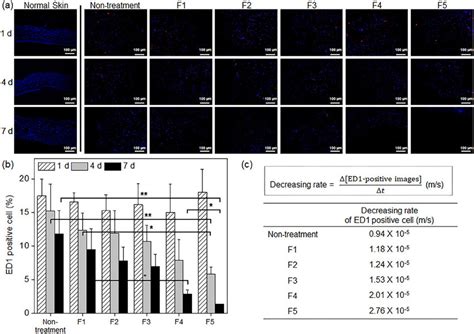 A Ed1 Staining B Quantitative Analysis Of Ed1 Positive Cells Download Scientific Diagram