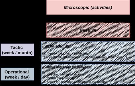 Application Of The Spatio Temporal Matrix To The Beekeeping Case