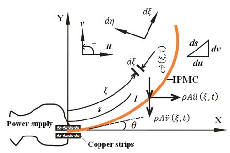 Fixed Free Bending Configuration Of An Ipmc Actuator For An Input Download Scientific Diagram