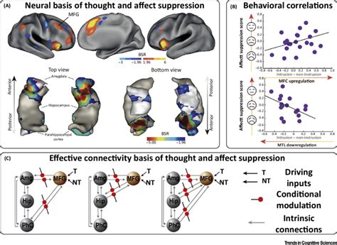 Neurobehavioral Markers Of Affect Suppression Following Retrieval