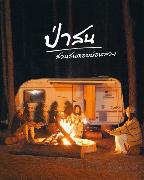 นอนผิงไฟกลางป่าสนที่ สวนสนดอยบ่อหลวง จ เชียงใหม่ 🌲⛰ นอนผิงไฟกลางป่าสนที่ สวนป่าดอยบ่อหลวง ที่