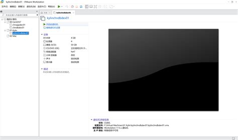 02 Vmware下载and安装银河麒麟（kylin）系统银河麒麟下载 Csdn博客