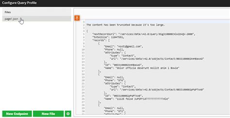 api profiles example salesforce lightning matillion docs