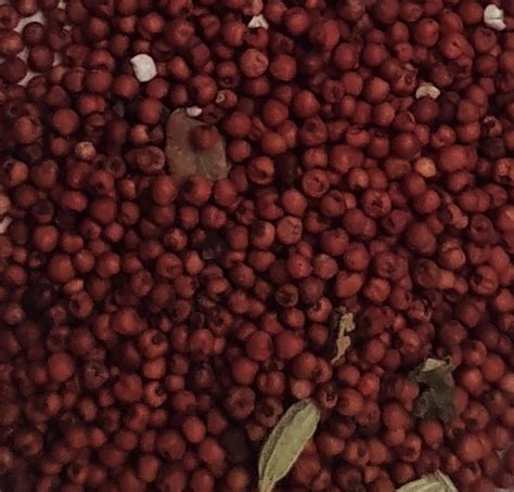 Ragi Impurity Detection Object Detection Model By Iit Kharagpur