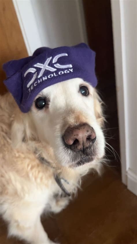 Tusar Kar On Linkedin 😍